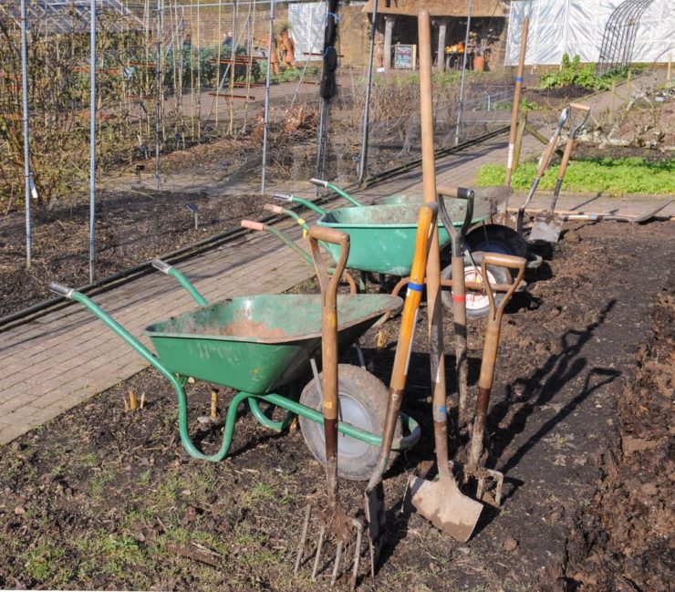 Get Planning And Start A Vegetable Patch In Your Garden With This 12 ...
