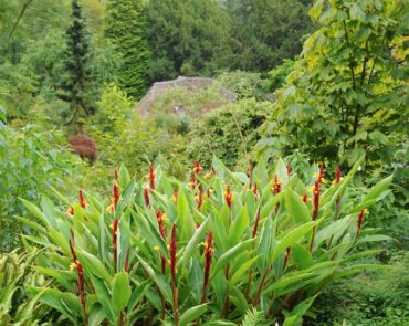 8 Tips For Planting And Gardening On A Slope From Landscape Gardeners ...