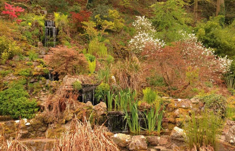 8 Tips For Planting And Gardening On A Slope From Landscape Gardeners ...