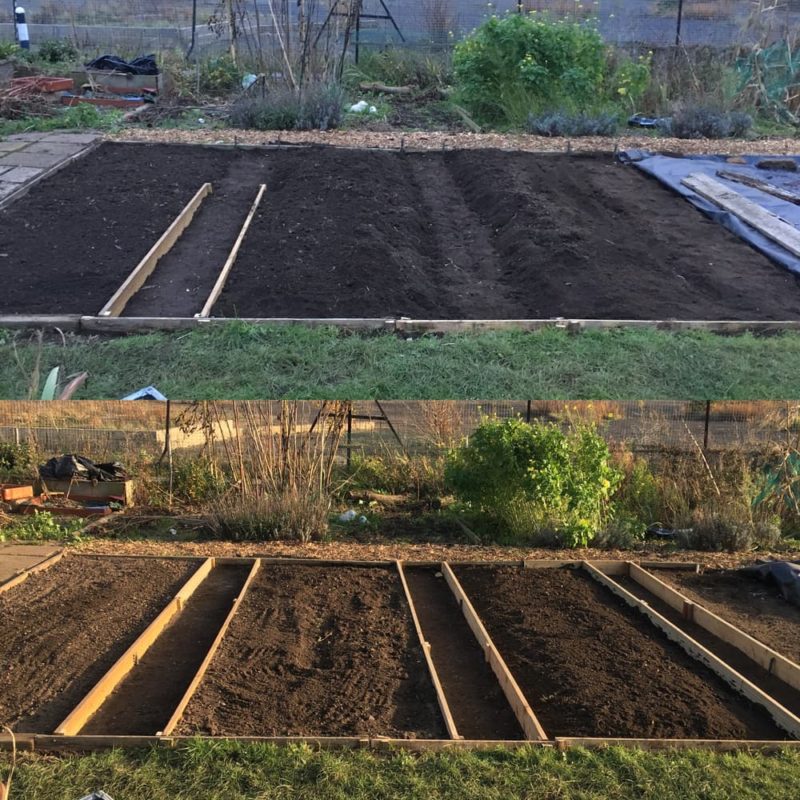 How To Start An Allotment: The Beginners Guide With Secrets From Expert ...