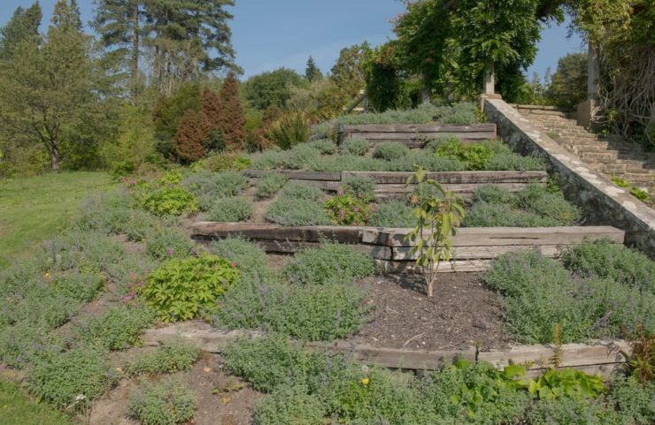 8 Tips For Planting And Gardening On A Slope From Landscape Gardeners ...