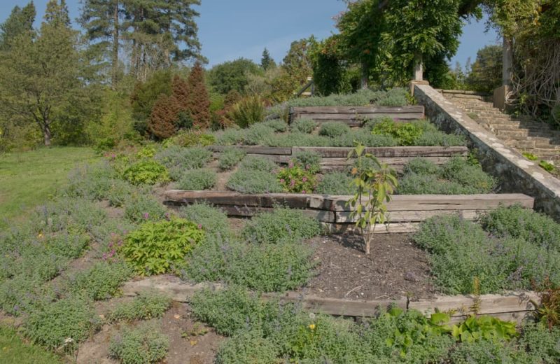 8 Tips For Planting And Gardening On A Slope From Landscape Gardeners ...