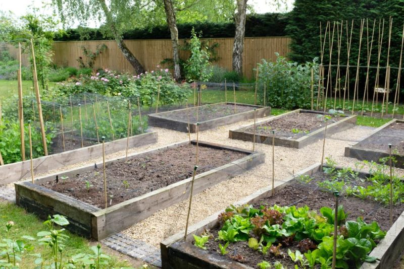 Vegetable Planting Guide By Month: Gardeners Choose Their Favourites To ...