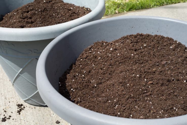 5 DIY Potting Soil Recipes For Growing | Horticulture.co.uk