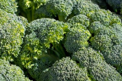 Growing Calabrese AKA 'Broccoli' - Here Are Some Top Tips From ...