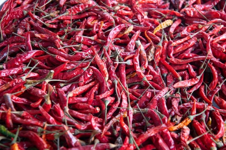 10 Chilli Types Ordered By Their Spiciness (In Scoville Heat Units ...