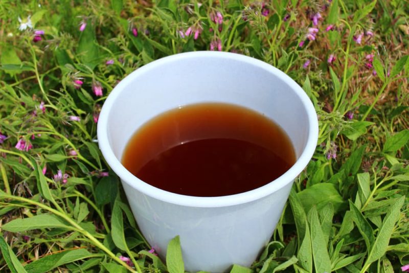 Turn Your Comfrey Leaves Into A Fertiliser 'Tea' And Feed Plants ...