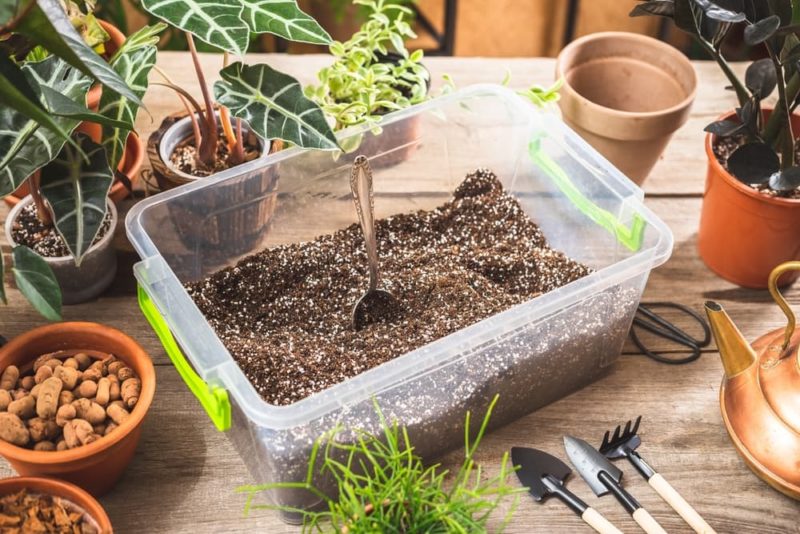 5 Ingenious DIY Potting Soil Recipes With Tips From Sarah Gerrard-Jones ...