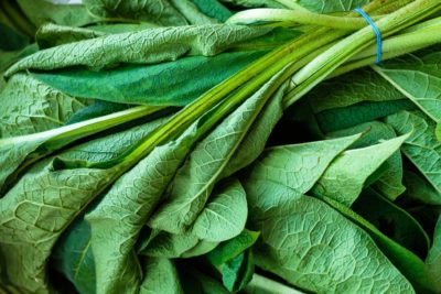 Turn Your Comfrey Leaves Into A Fertiliser 'Tea' And Feed Plants ...