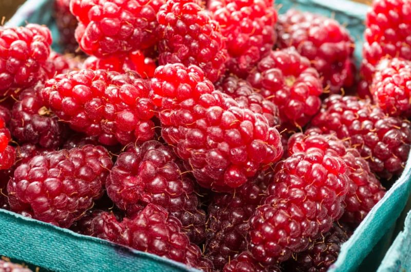 Tayberries Are A Fruit You Don't See Very Often - Here's How You Can ...
