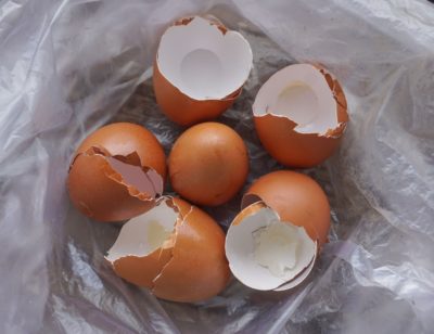 9 Ways To Use Eggshells In The Garden | Horticulture.co.uk