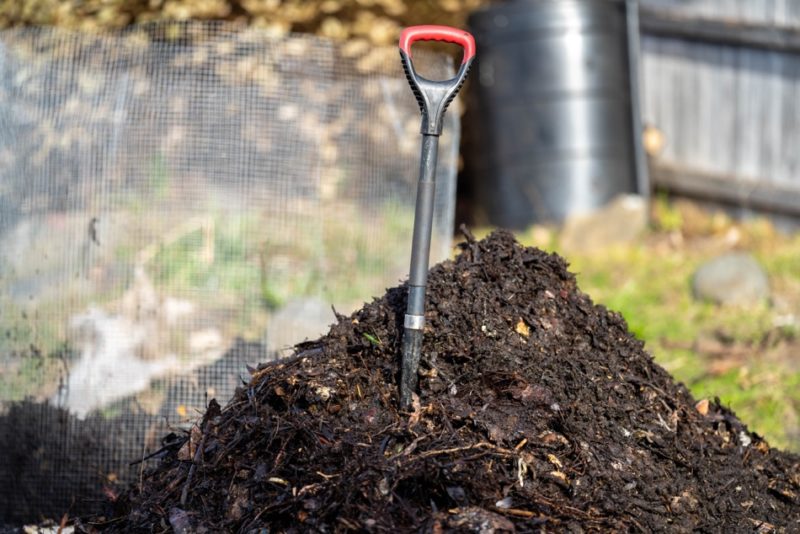 Compost vs Humus: What Are The Differences? | Horticulture