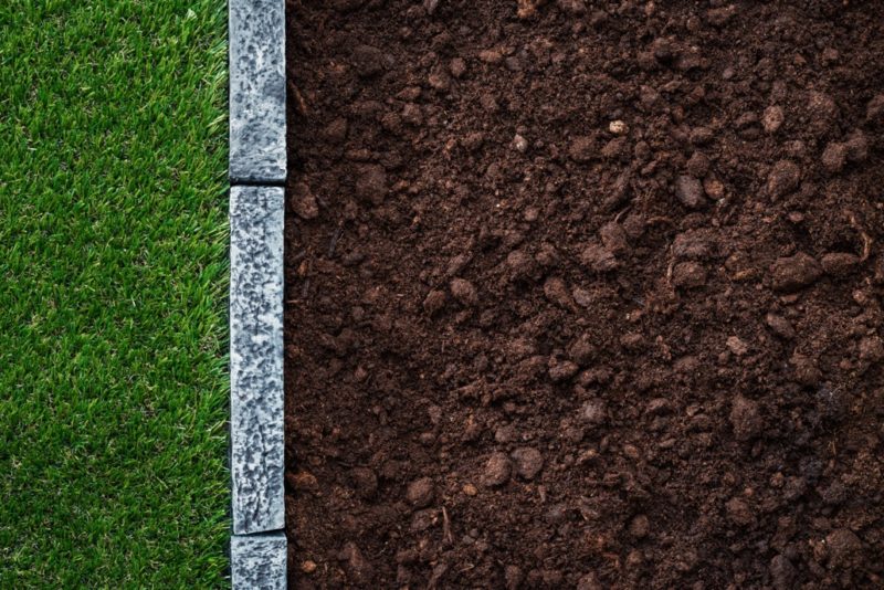 Compost vs Humus: What Are The Differences? | Horticulture
