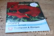 Poppies Are Easily Grown From Seed Between March And May - Here’s The ...