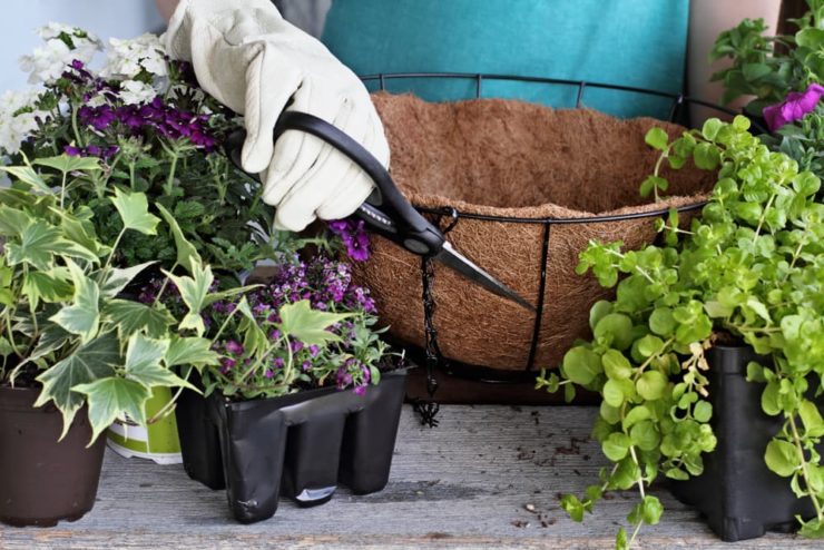 How To Make A Homemade Hanging Basket | Horticulture.co.uk