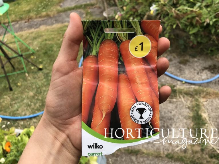 Sowing Carrot Seeds In 4 Stages | Horticulture Magazine