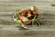 You Can Take Cuttings From Existing Ginger Plants To Grow More - Just ...