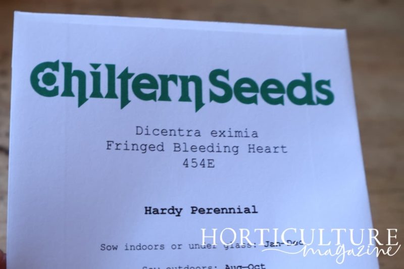 Dicentra Seeds Will Need Stratifying Before Germinating - Follow These ...