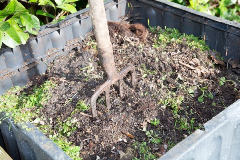 7 Easy Ways To Accelerate The Composting Process From A Professional ...