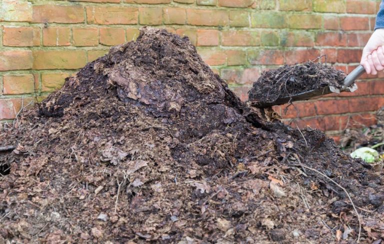 7 Easy Ways To Accelerate Composting | Horticulture.co.uk