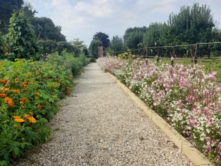 Talking Horticulture With Sam Hickmott, The National Trust’s Youngest ...