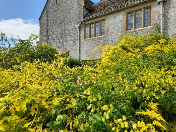 Talking Horticulture With Sam Hickmott, The National Trust’s Youngest ...