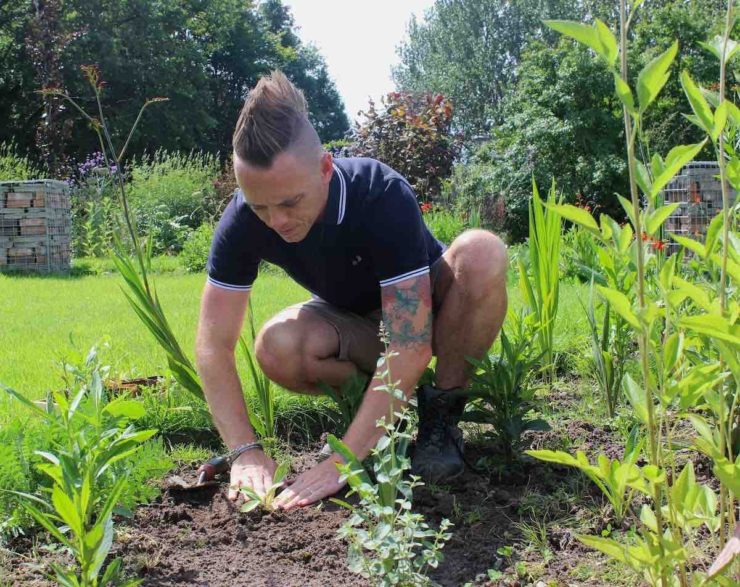 The Garden Ninja Lee Burkhill: From A Career In IT To The BBC Garden ...