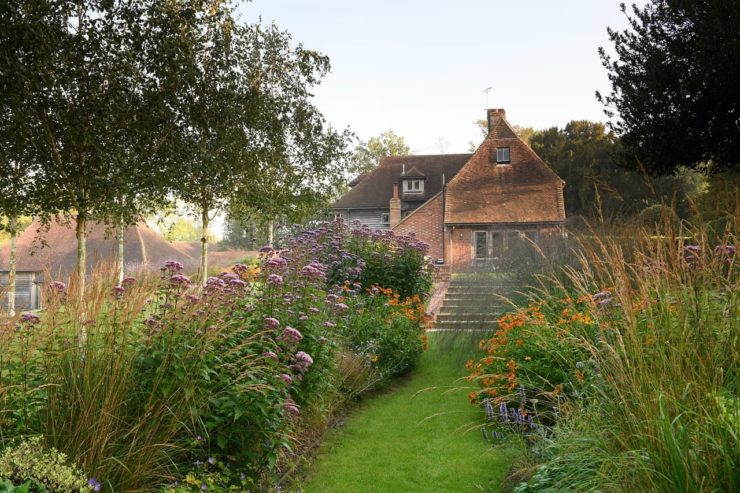 Jo Thompson - Award-Winning Garden Designer | Horticulture