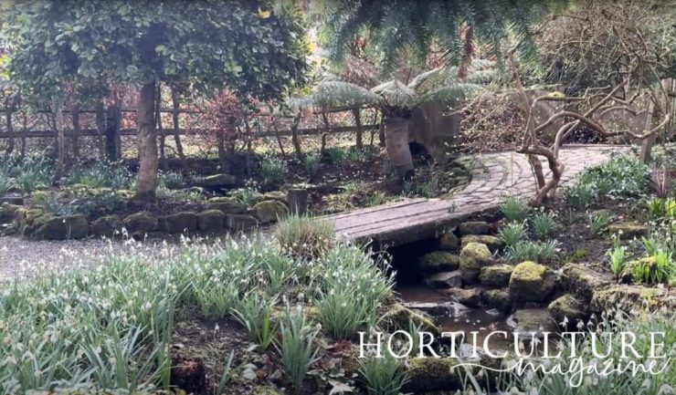 York Gate: Head Gardener Jack Ogg Reveals 14 Garden Rooms Across Just 1 ...