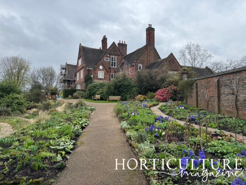 Historic Glasshouse Tour At Winterbourne House & Garden With Daniel ...